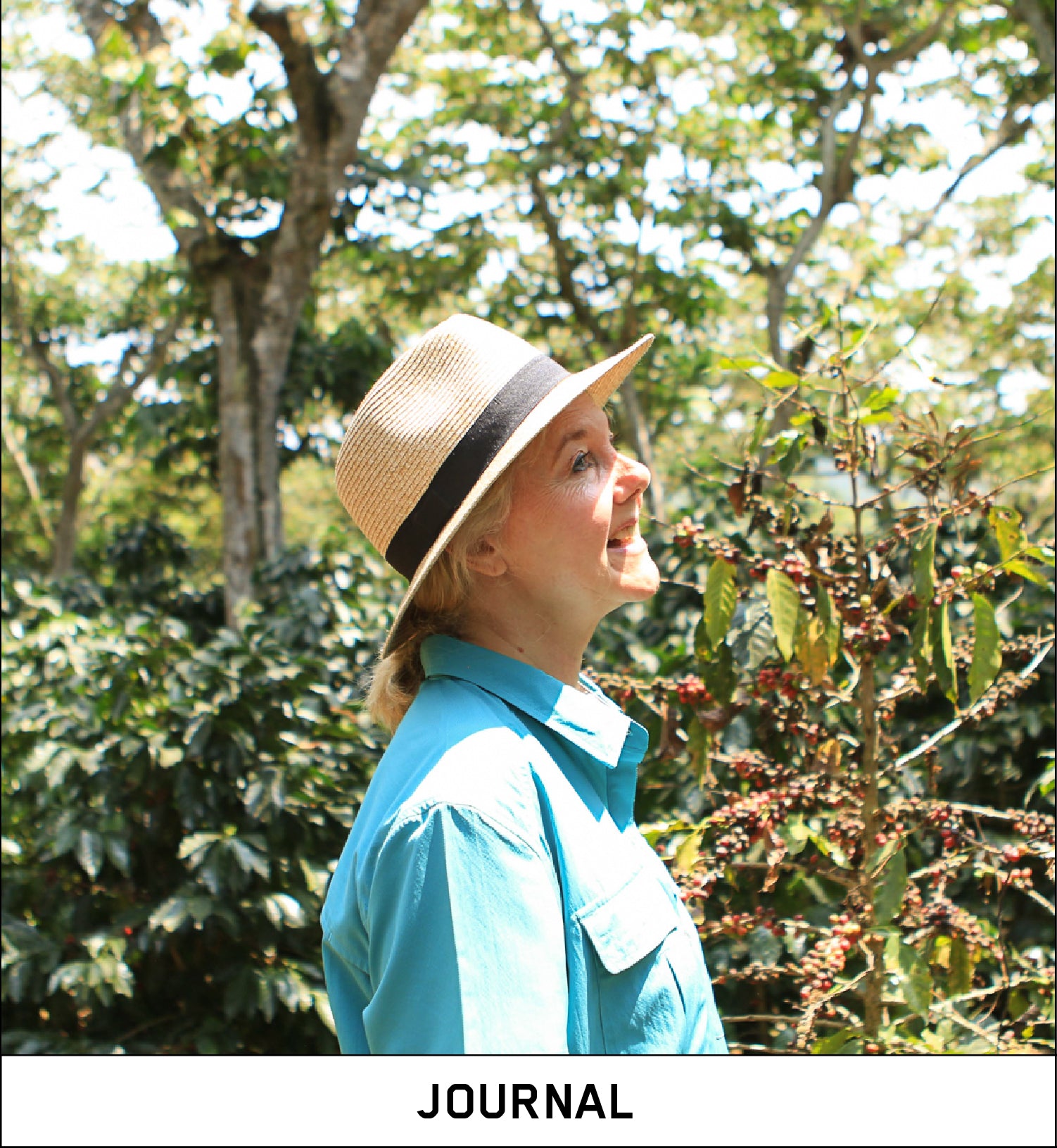 Madcap Coffee – Madcap Coffee Company